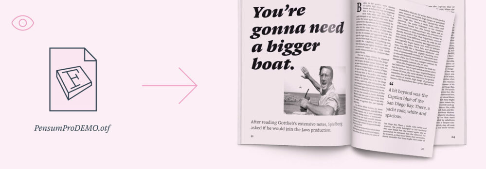 Ten Features of Top-Notch Text Fonts | TypeMates