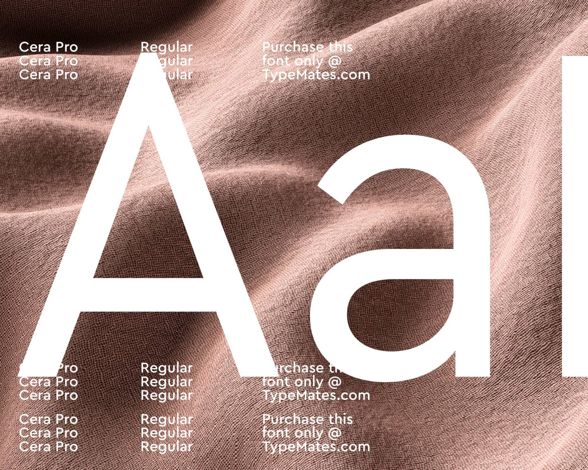 Cera Pro | TypeMates